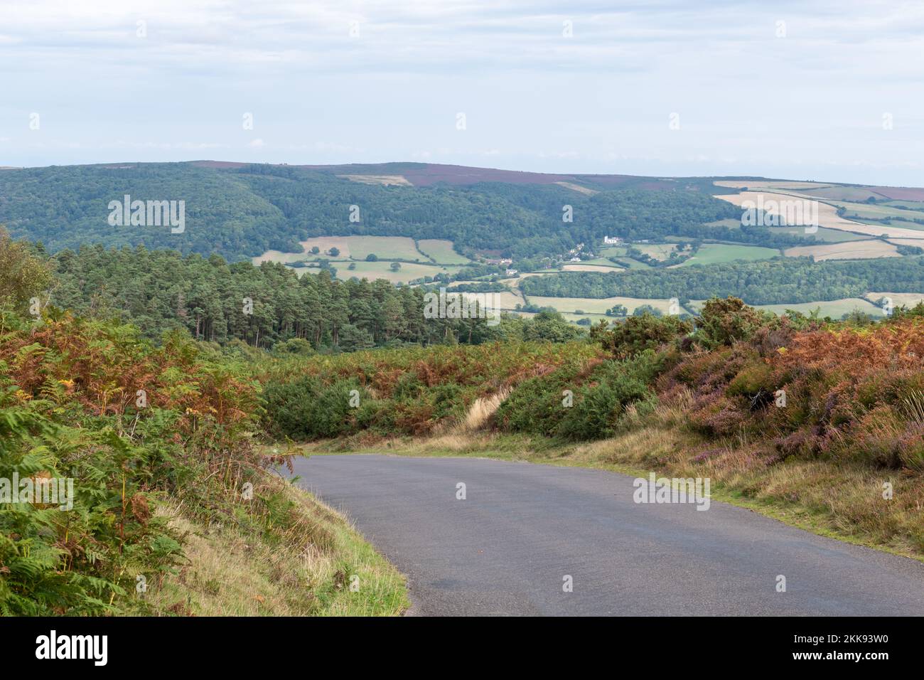 View from Dunkery hill of Horner woods in Exmoor National Park Stock ...