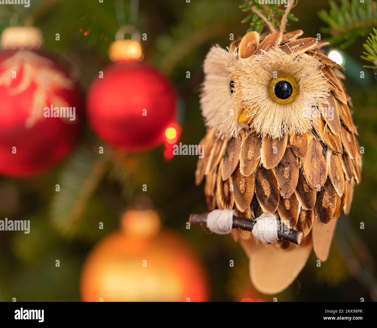 Owl in fir tree hi-res stock photography and images - Alamy