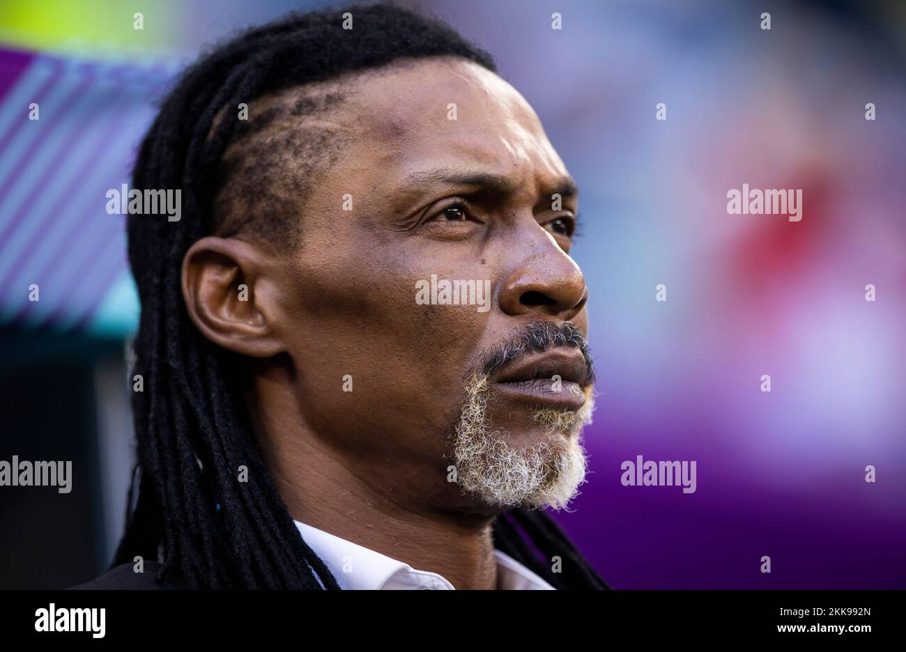 Doha, Qatar. 24th Nov, 2022. Trainer Rigobert Song (CAM) Switzerland ...