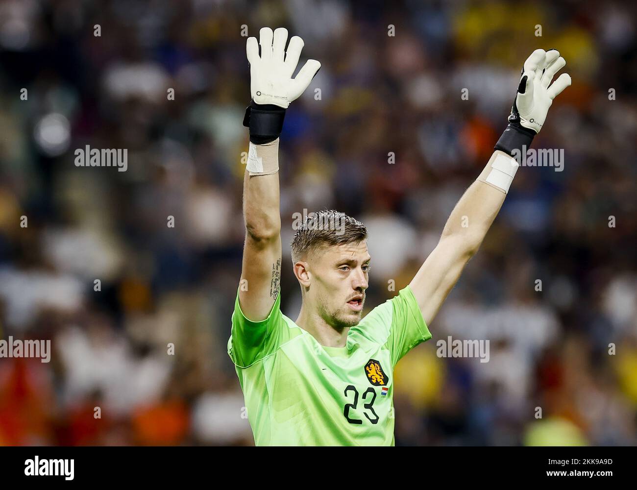 AL-RAYYAN - Holland goalkeeper Andries Noppert during the FIFA World ...