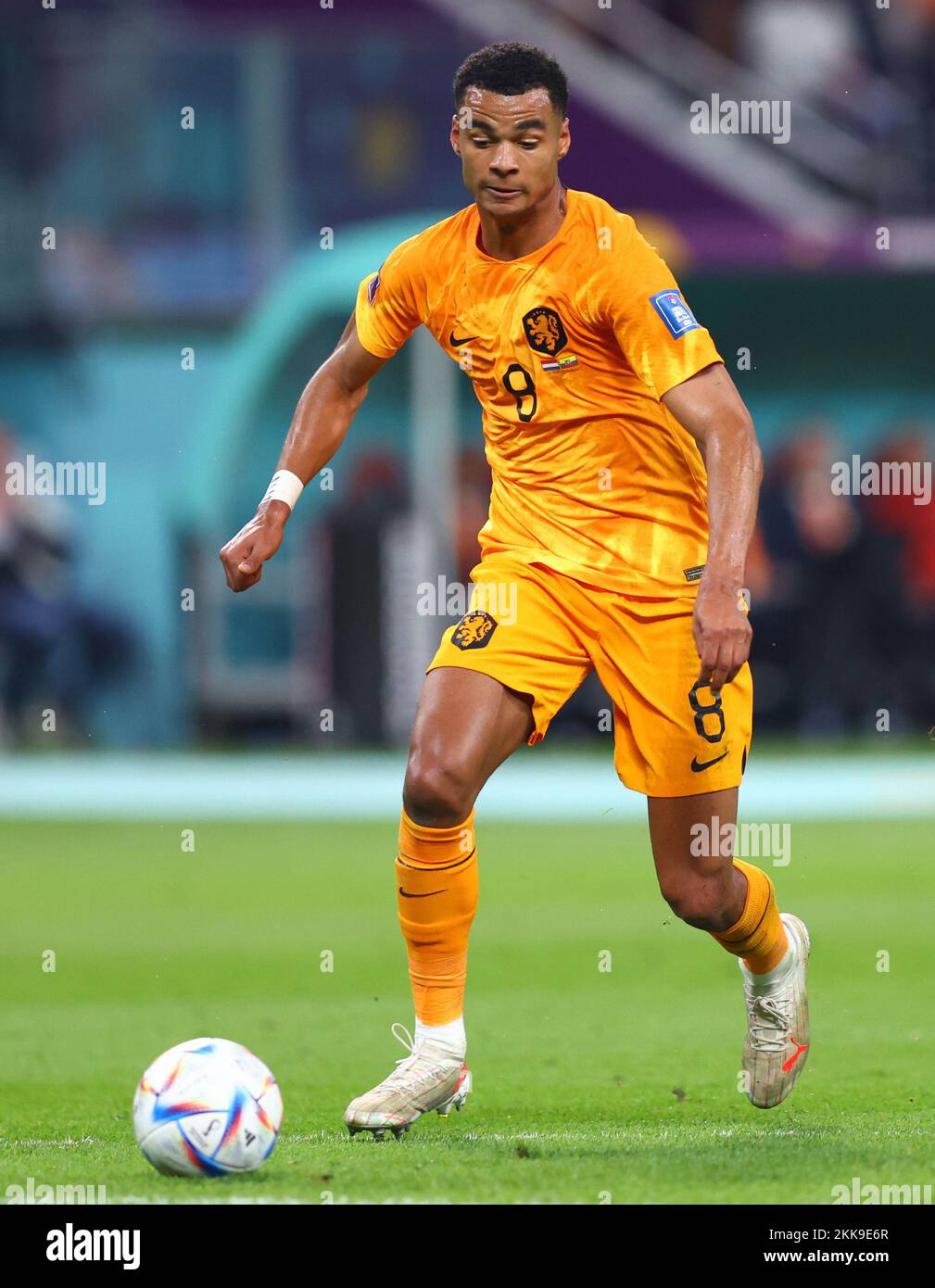 Al Rajjan, Qatar. 25th Nov, 2022. Soccer: World Cup, Netherlands ...