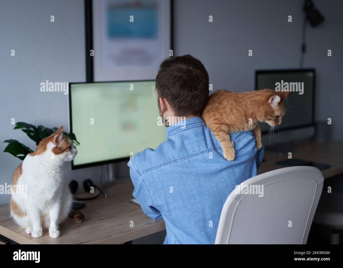 Software programmer hi-res stock photography and images - Alamy