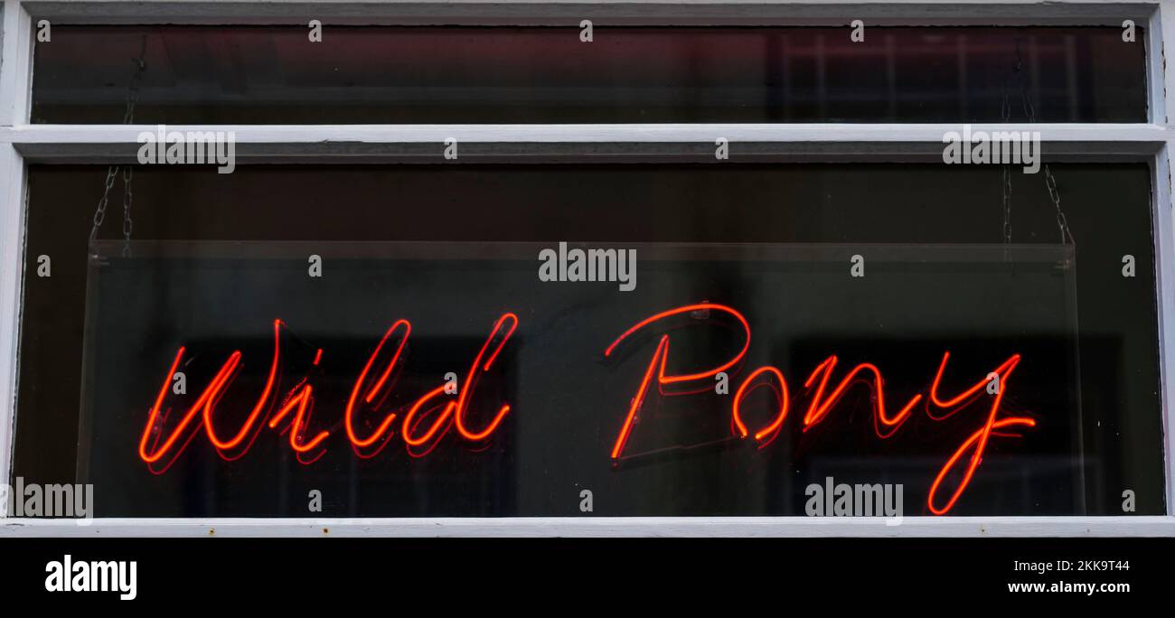 Neon Wild Pony sign in a window- red colour - Falmouth Cornwall Stock ...
