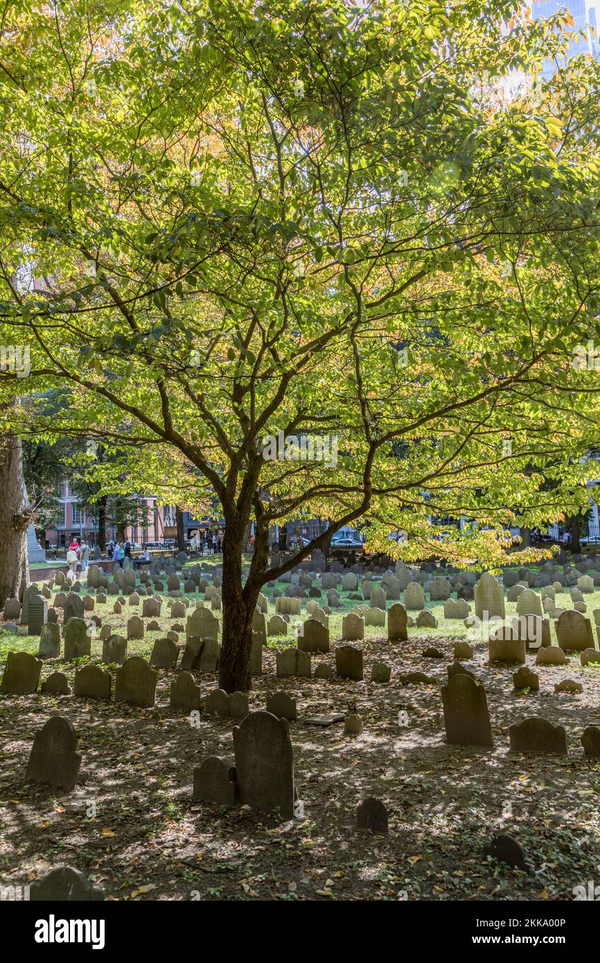 Boston, USA - September 12, 2017: Rows of headstones under a tree at ...