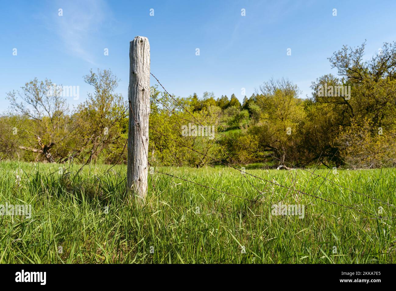 A old, weathered fence post stands alone in a field Stock Photo - Alamy