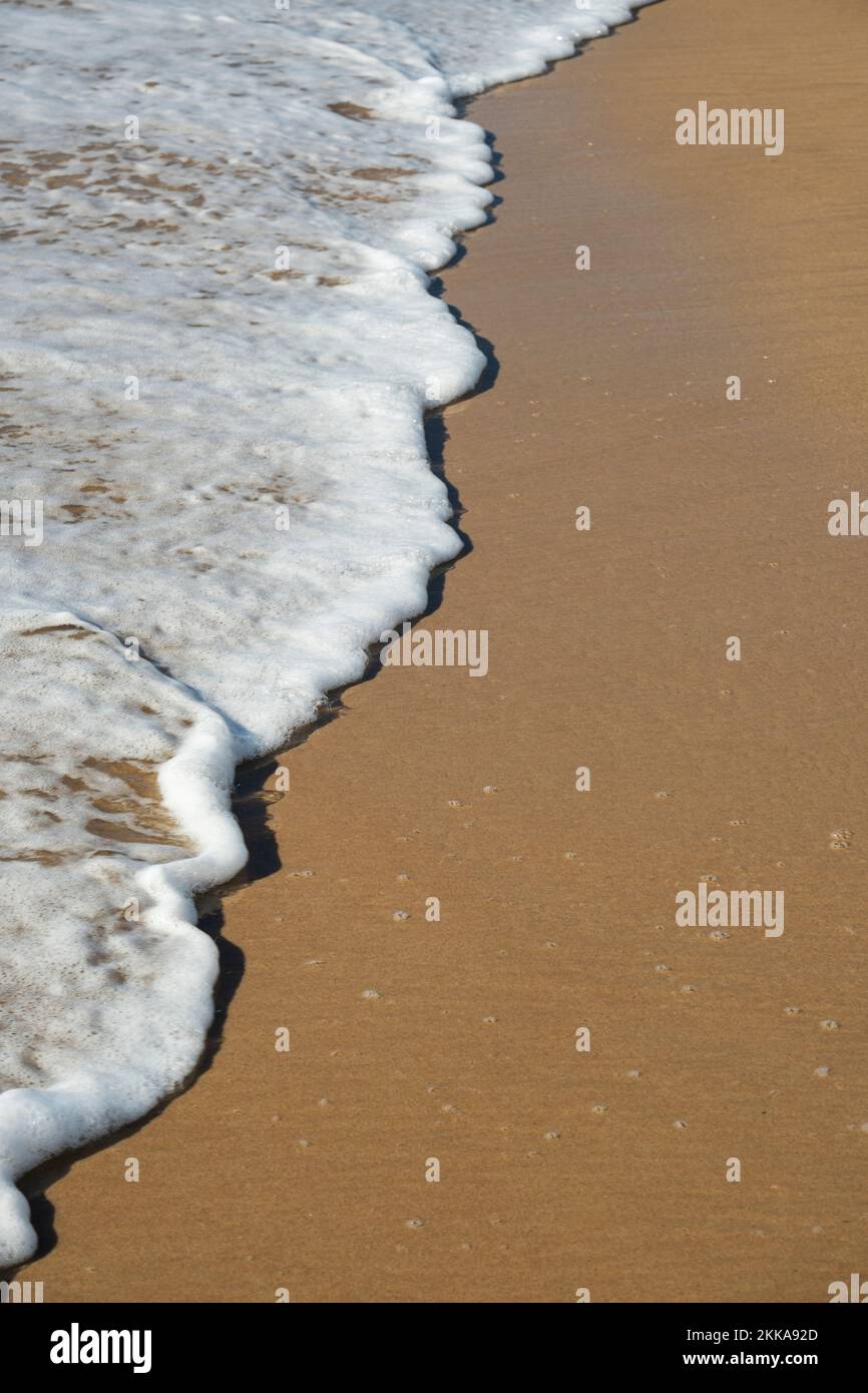 small wave with white foam arriving on the sand Stock Photo - Alamy