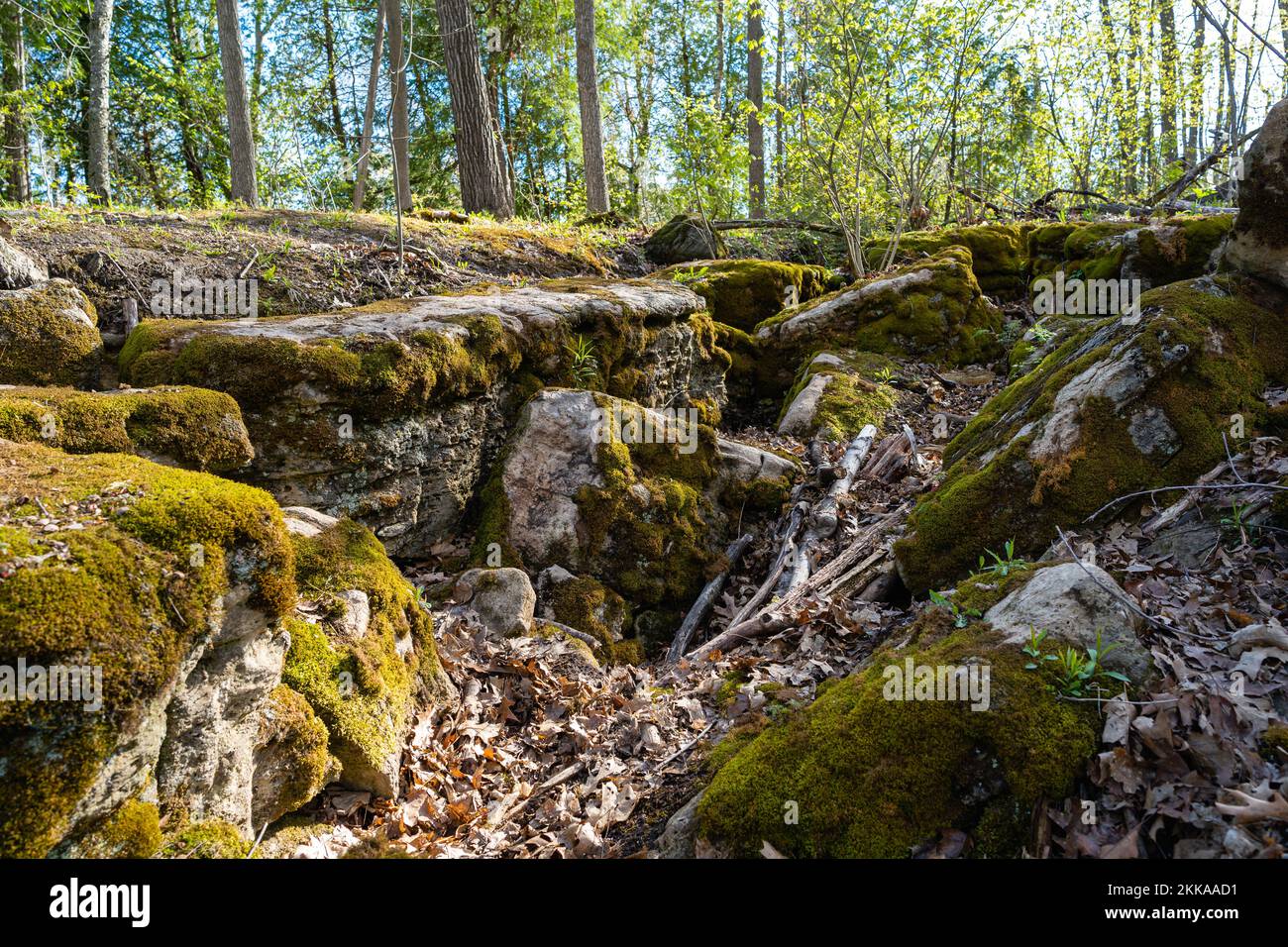 Moss covered rock formation hi-res stock photography and images - Alamy