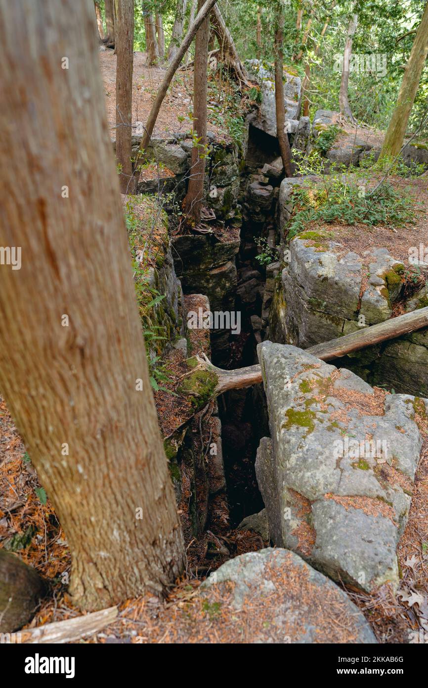 Peering over the edges of a limestone chasm in a forest Stock Photo - Alamy