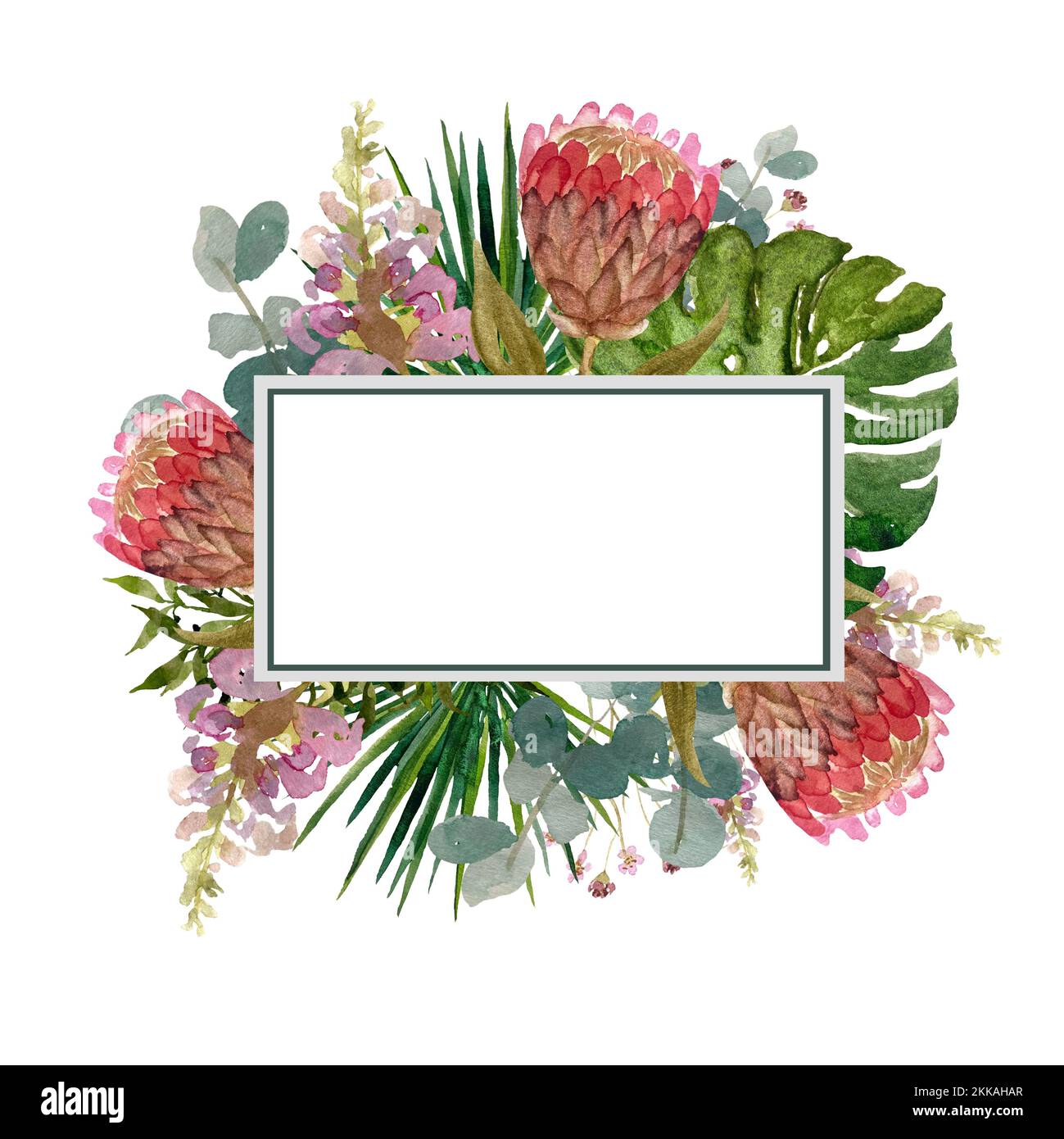 Protea flower frame hi-res stock photography and images - Alamy