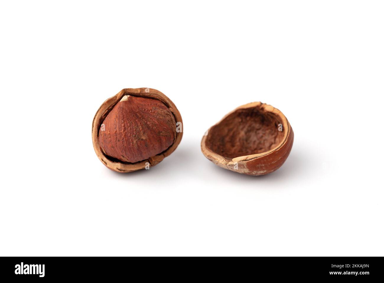 hazelnuts isolated on white background Stock Photo - Alamy