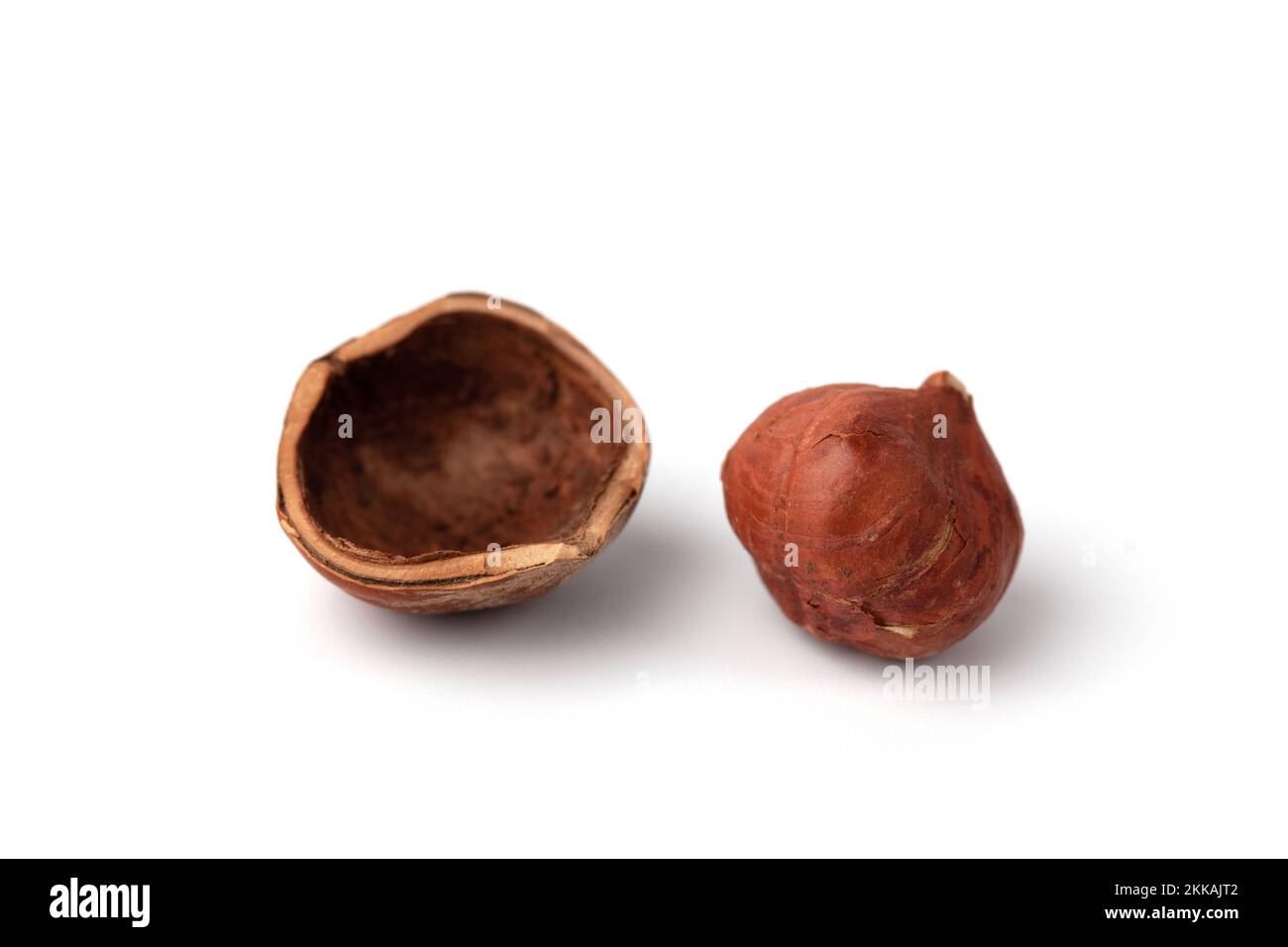 hazelnuts isolated on white background Stock Photo - Alamy