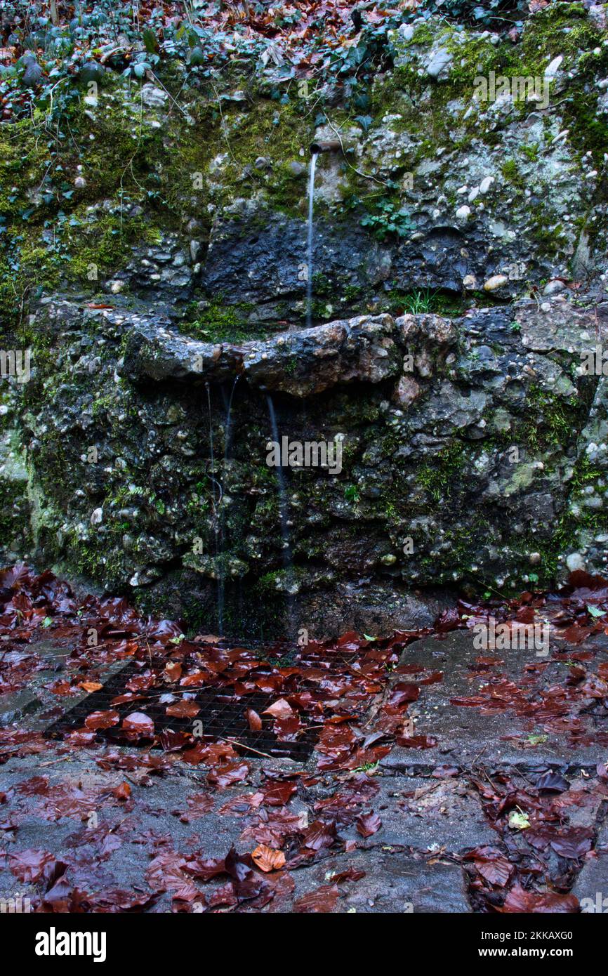 Water coming out of pipe in rock wall at Old Wolfstein castle ruins in ...