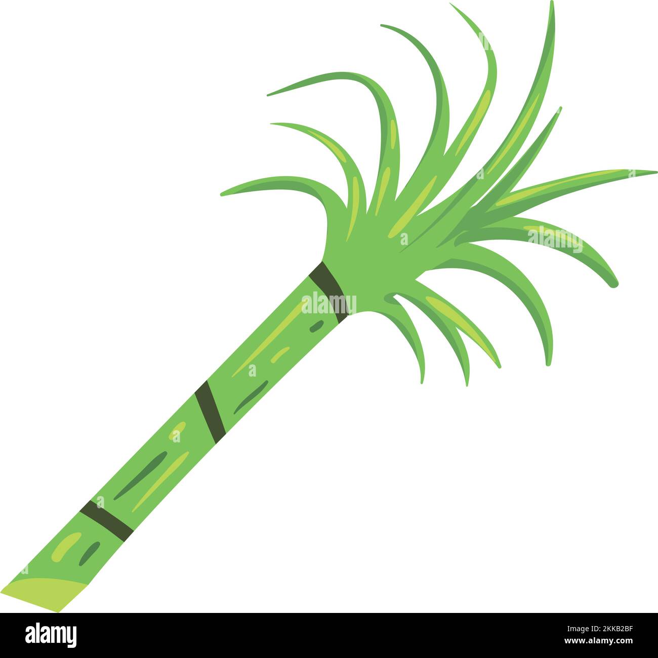 flat palm design Stock Vector Image & Art - Alamy