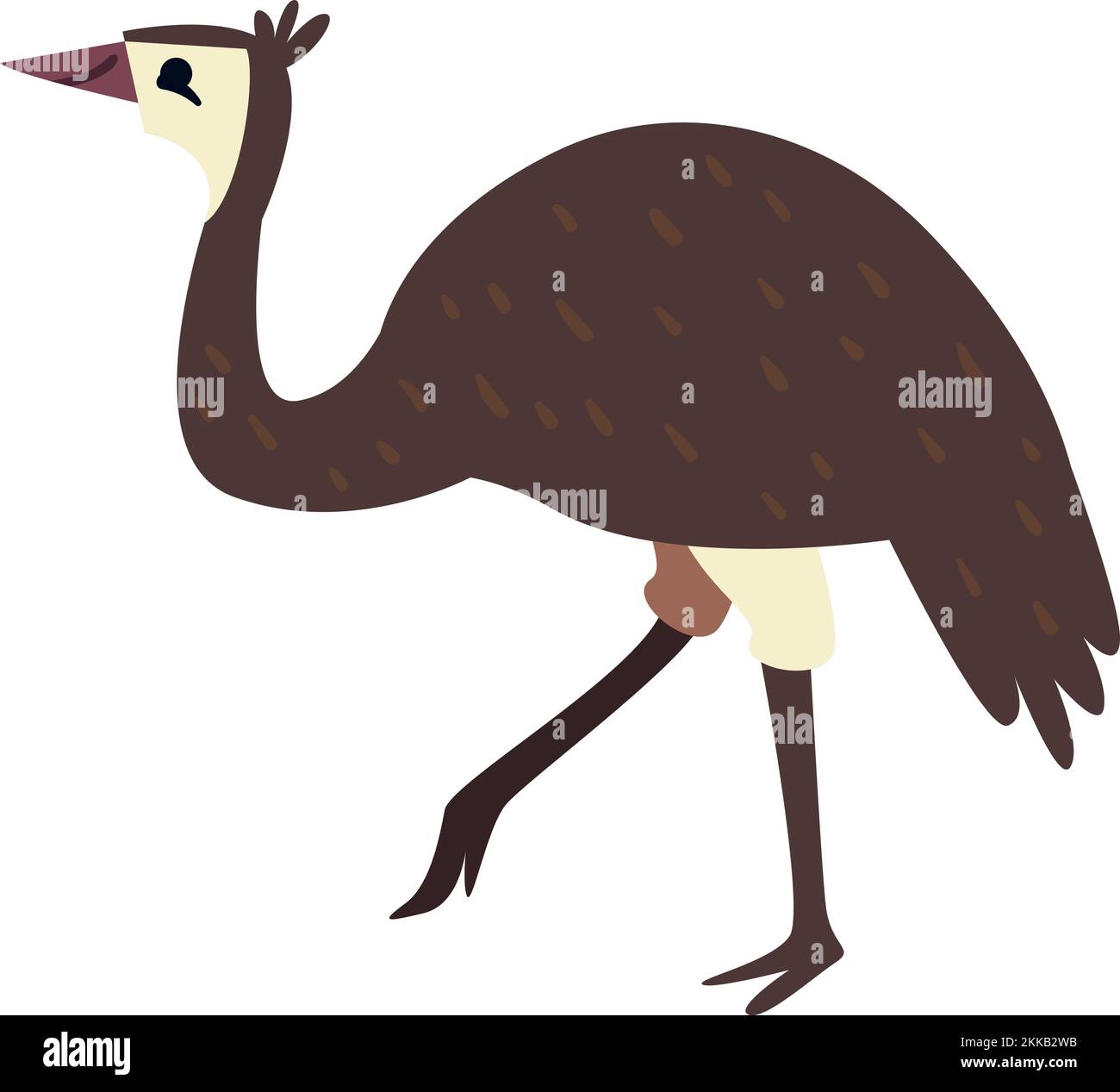 flat australian bird Stock Vector Image & Art - Alamy