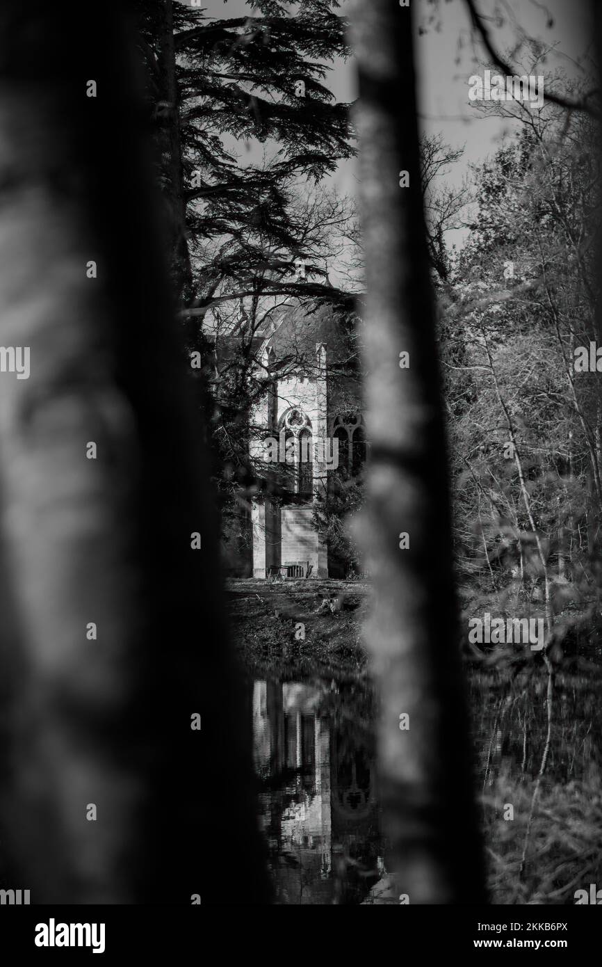 A vertical grayscale shot of a misty house Stock Photo - Alamy