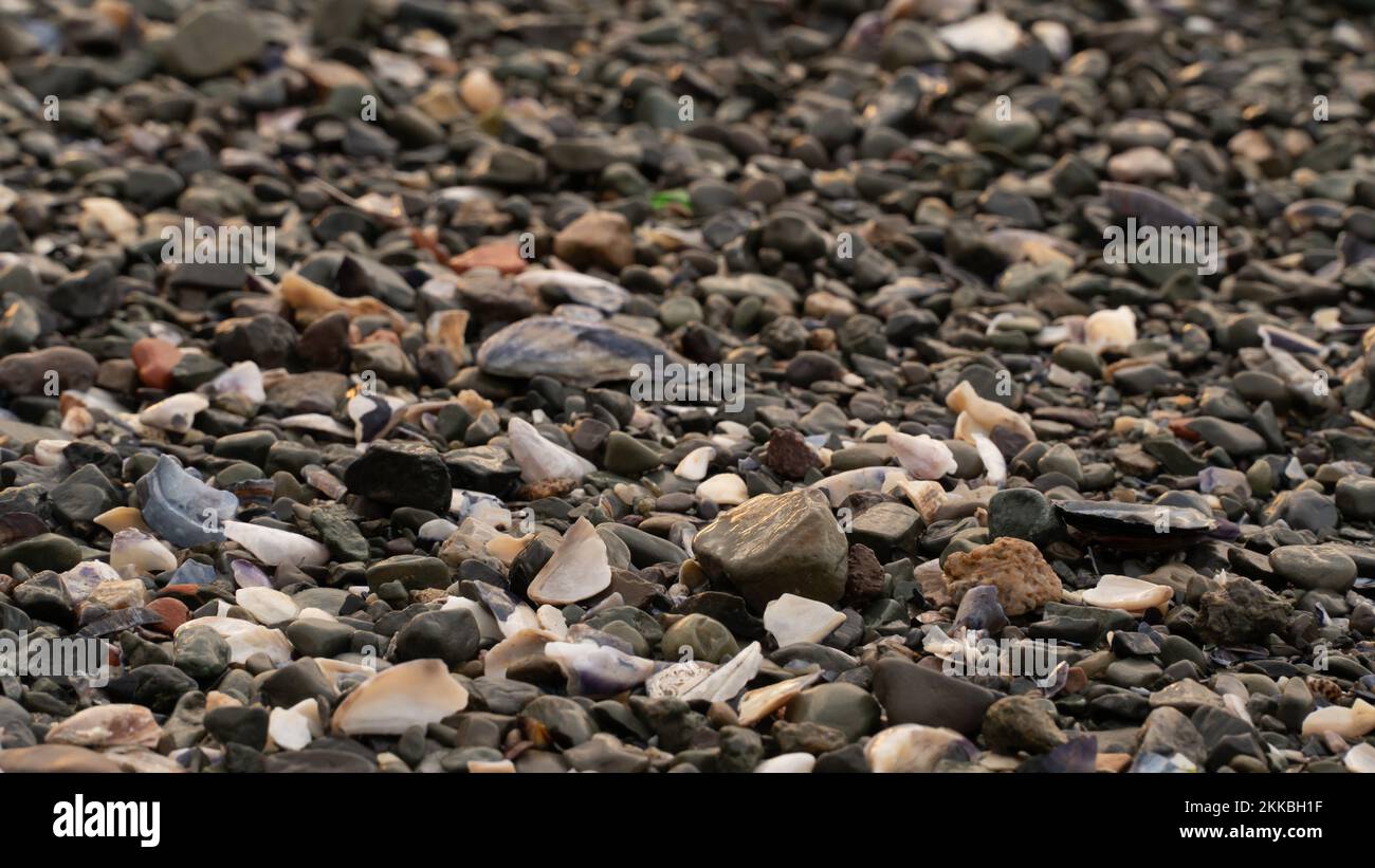Pebbles on the beach and sea. Book cover concept idea. Beach photo ...
