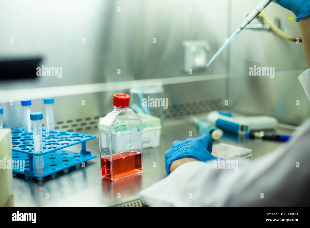 cell culture at the medicine, medical and biology laboratory Stock ...