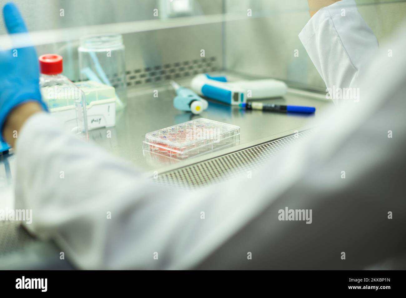 cell culture at the medicine, medical and biology laboratory Stock ...