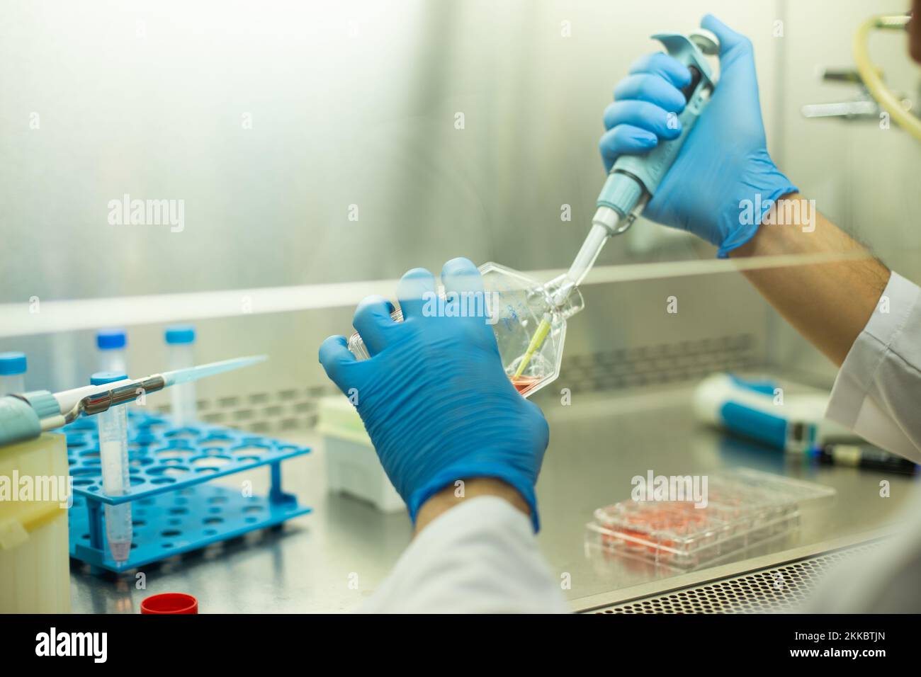 cell culture at the medicine, medical and biology laboratory Stock ...