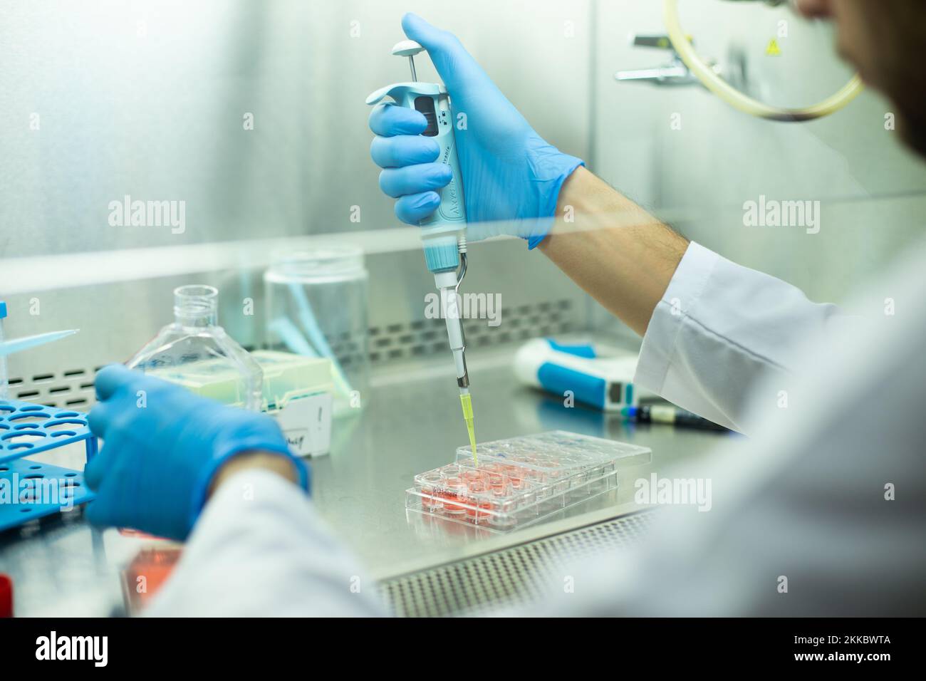 cell culture at the medicine, medical and biology laboratory Stock ...