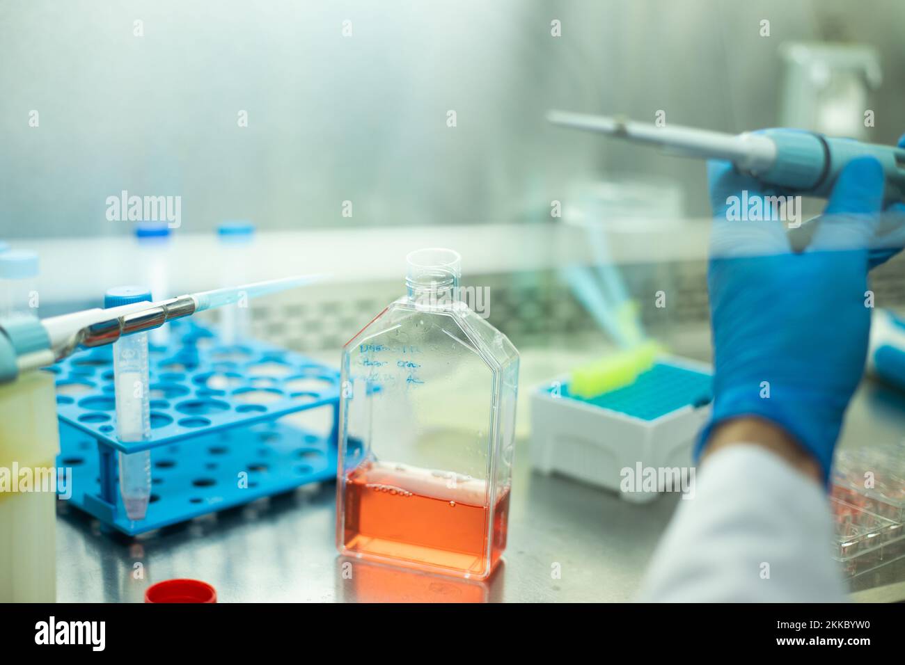 Tissue culture medium hi-res stock photography and images - Alamy