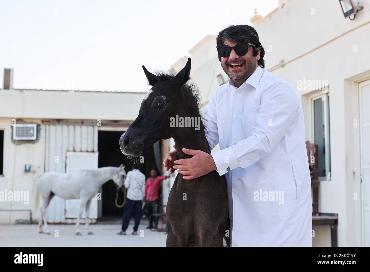 Al Ruwais, Qatar. 25th Nov, 2022. Horse breeder Fahid Mohamed from Doha ...