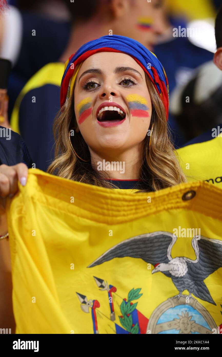 Al Rayyan, Qatar. 25th Nov, 2022. Ecuador fans (ECU) Football/Soccer ...