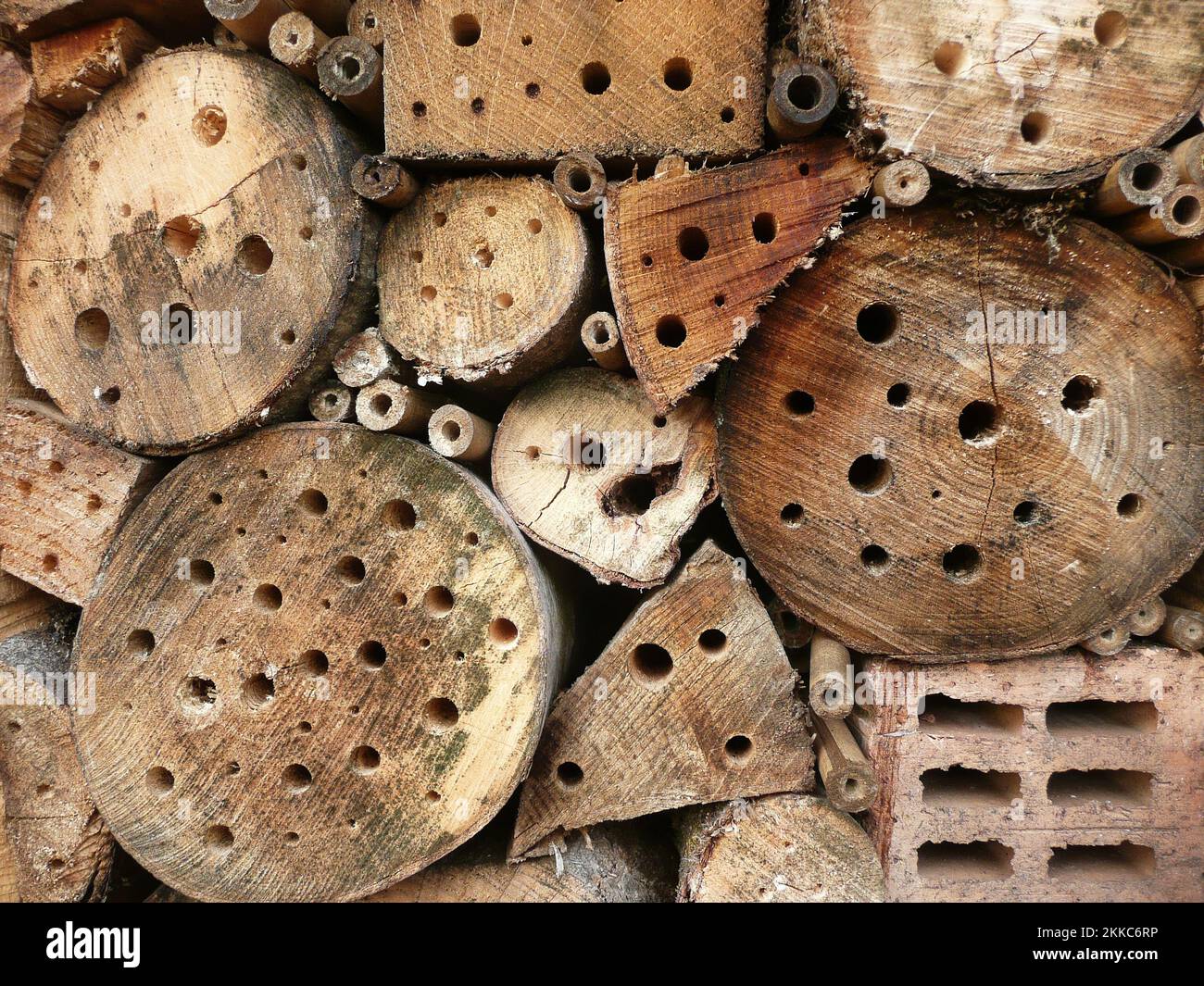 Wild insect hotel in details Stock Photo - Alamy