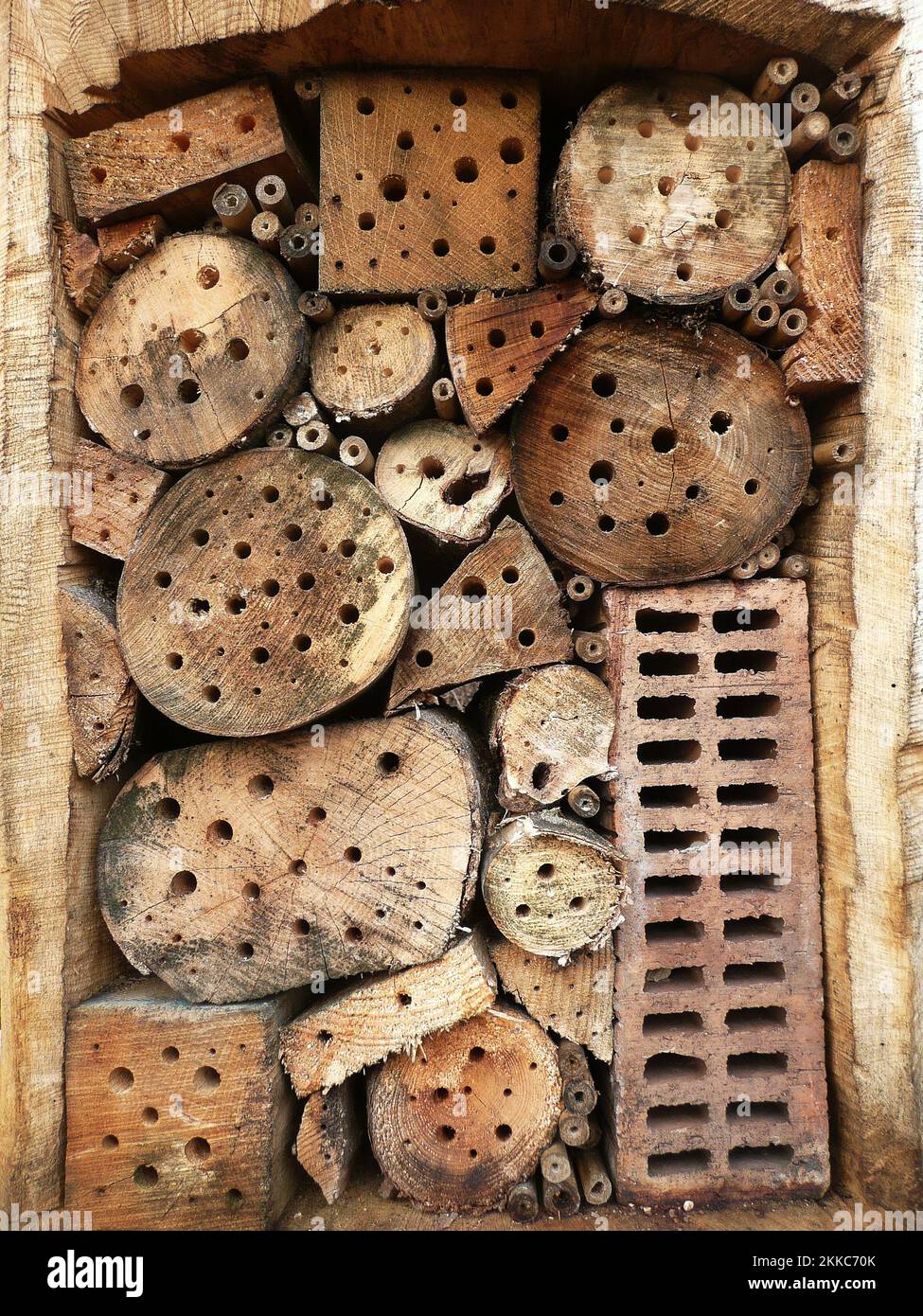 Wild insect hotel in details Stock Photo - Alamy