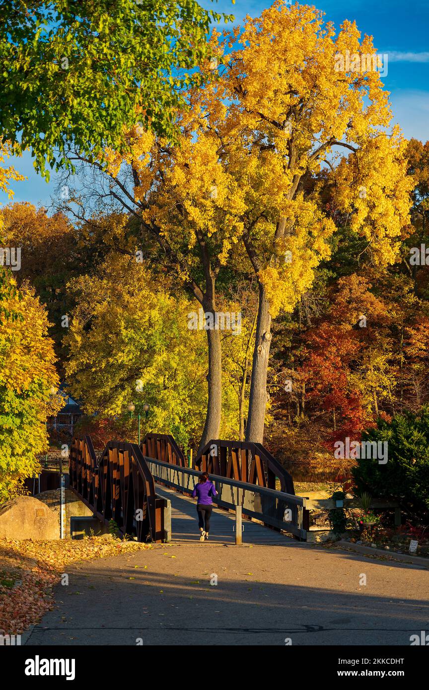 Women jogging over a pedestrian bridge during the peak of fall foliage ...
