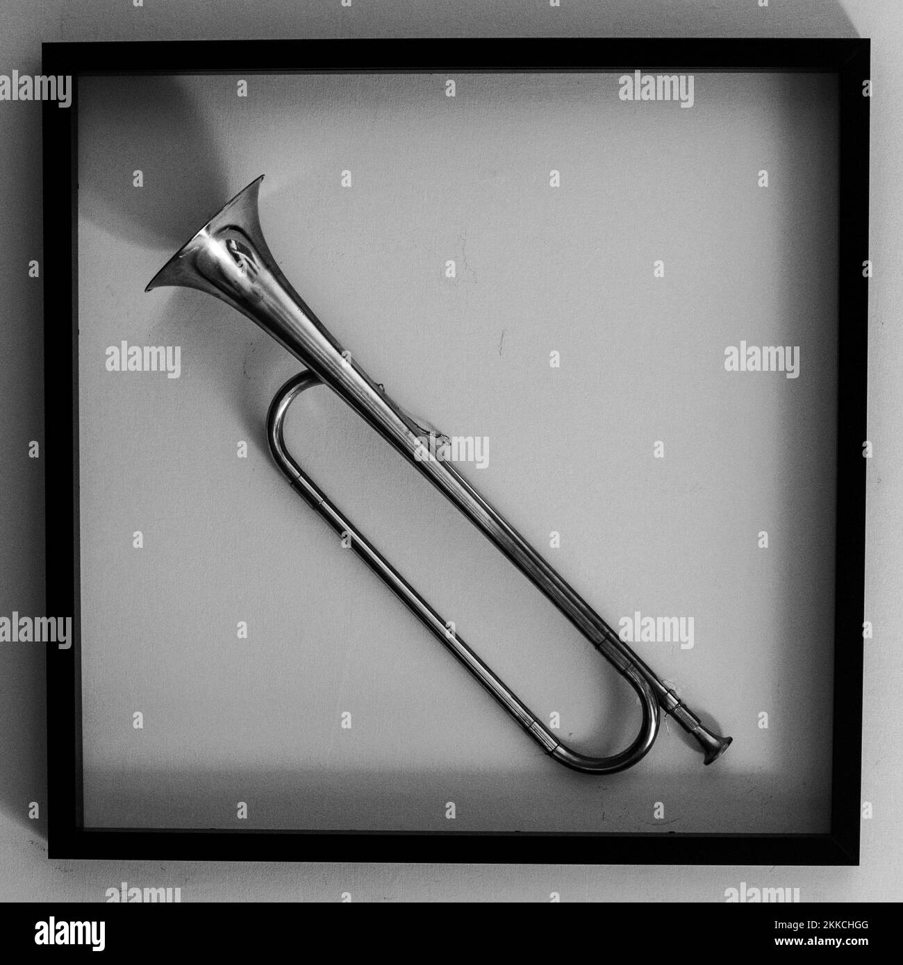 A closeup shot of a horn instrument in a frame on a wall Stock Photo ...