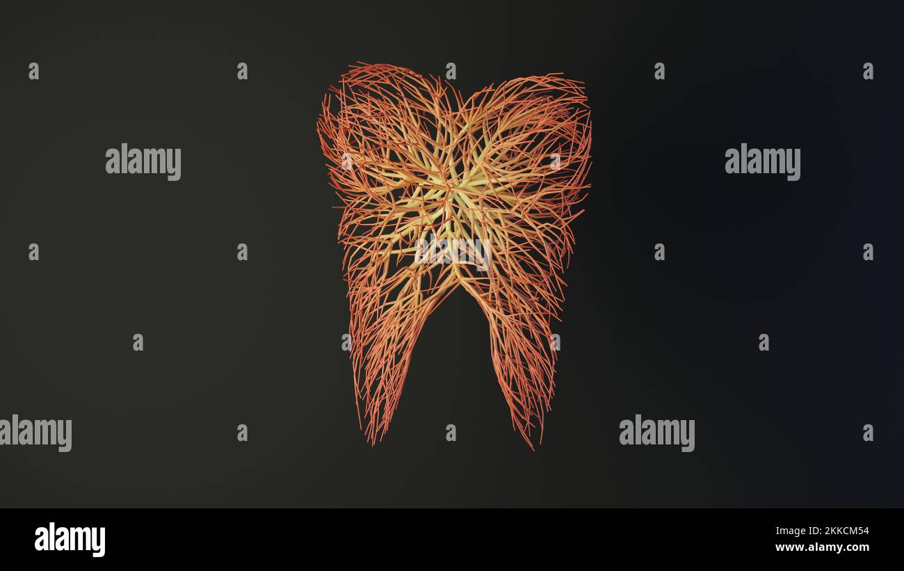 Human tooth made out of lines. Medical Concept. 3D Rendering Stock ...