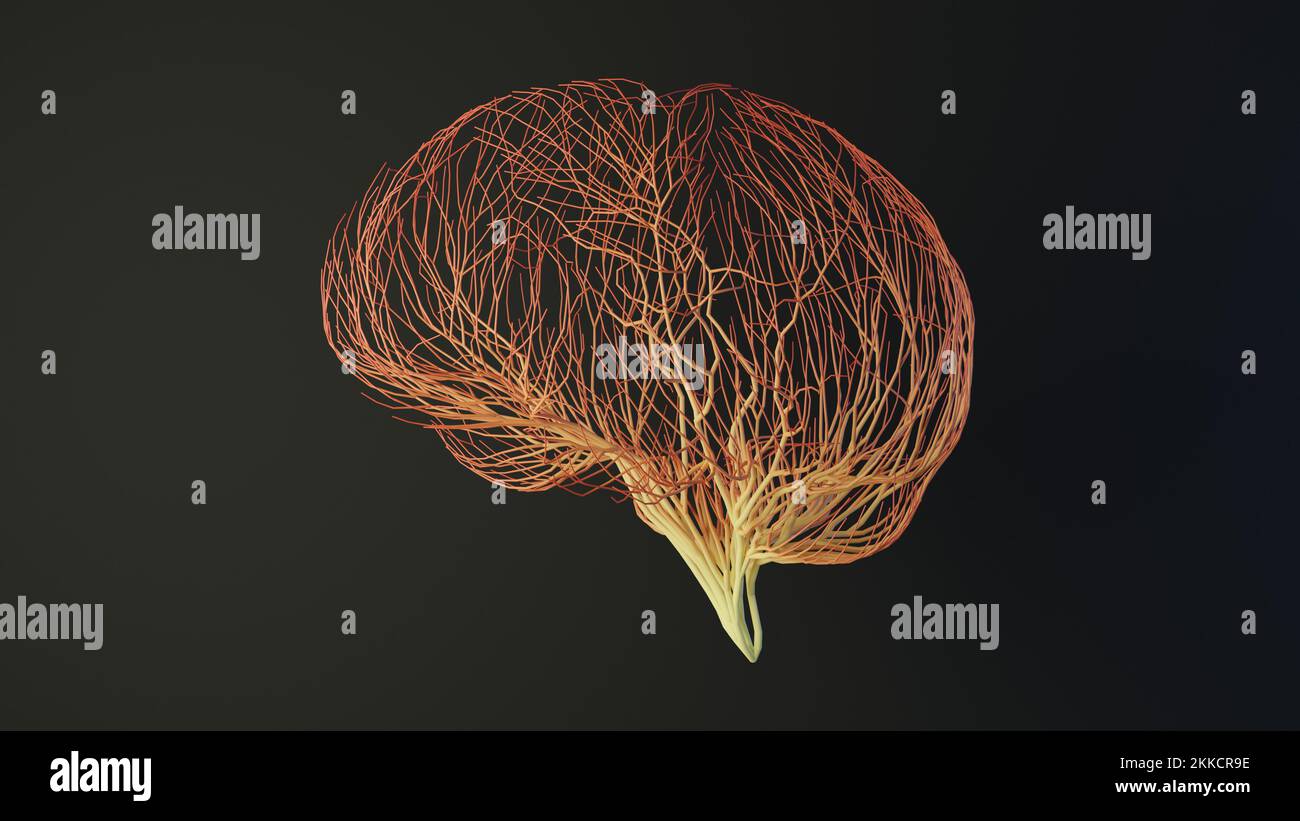 Human brain made out of lines. Brain medical Concept. 3D Rendering ...