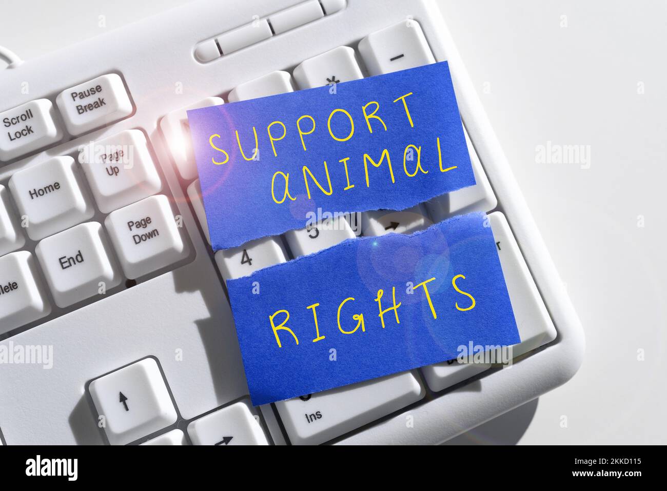 Hand writing sign Support Animal Rights. Business overview protection ...