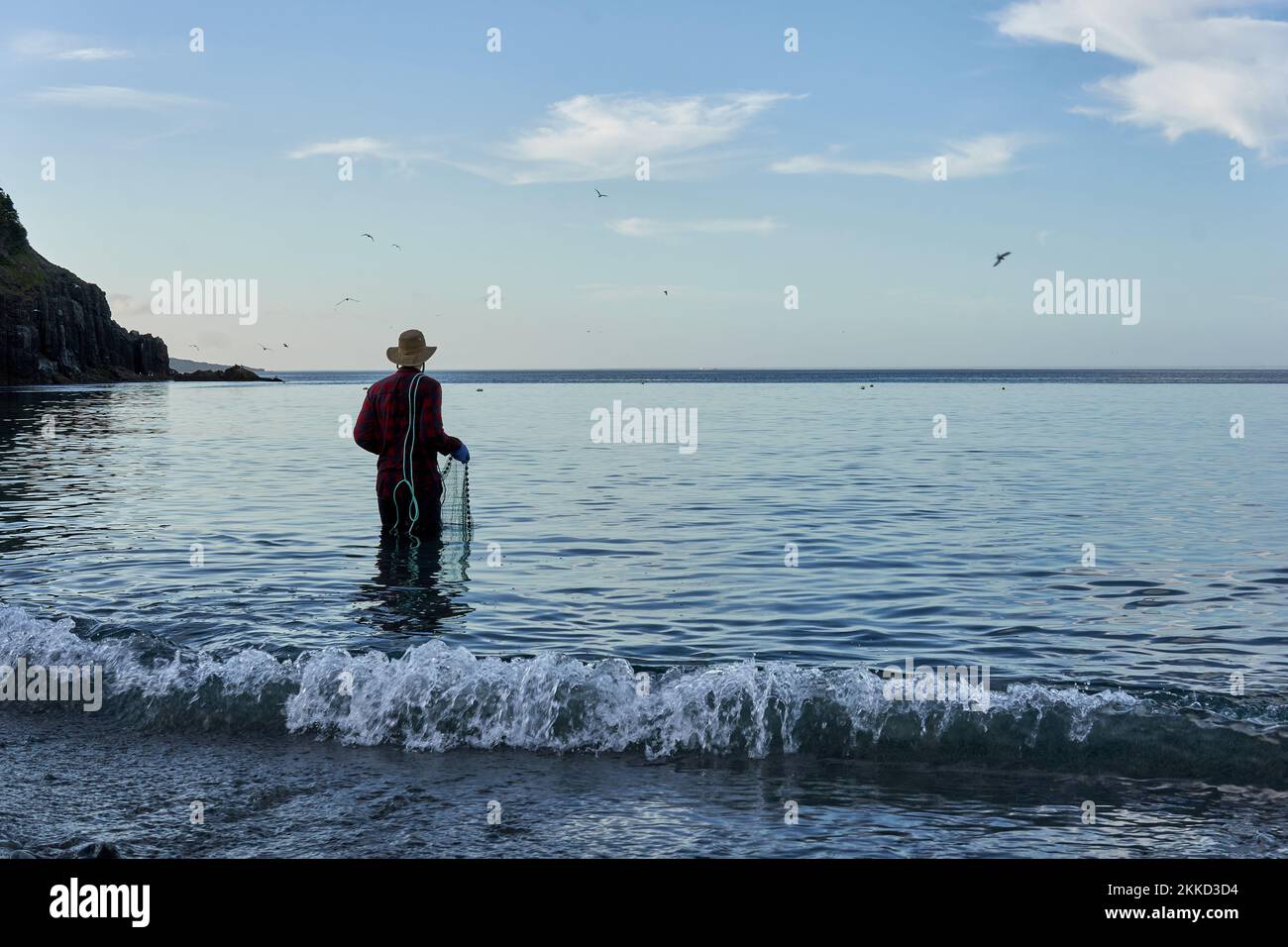 An isolated fisherman with a hook in the sea during capelin rolling on ...