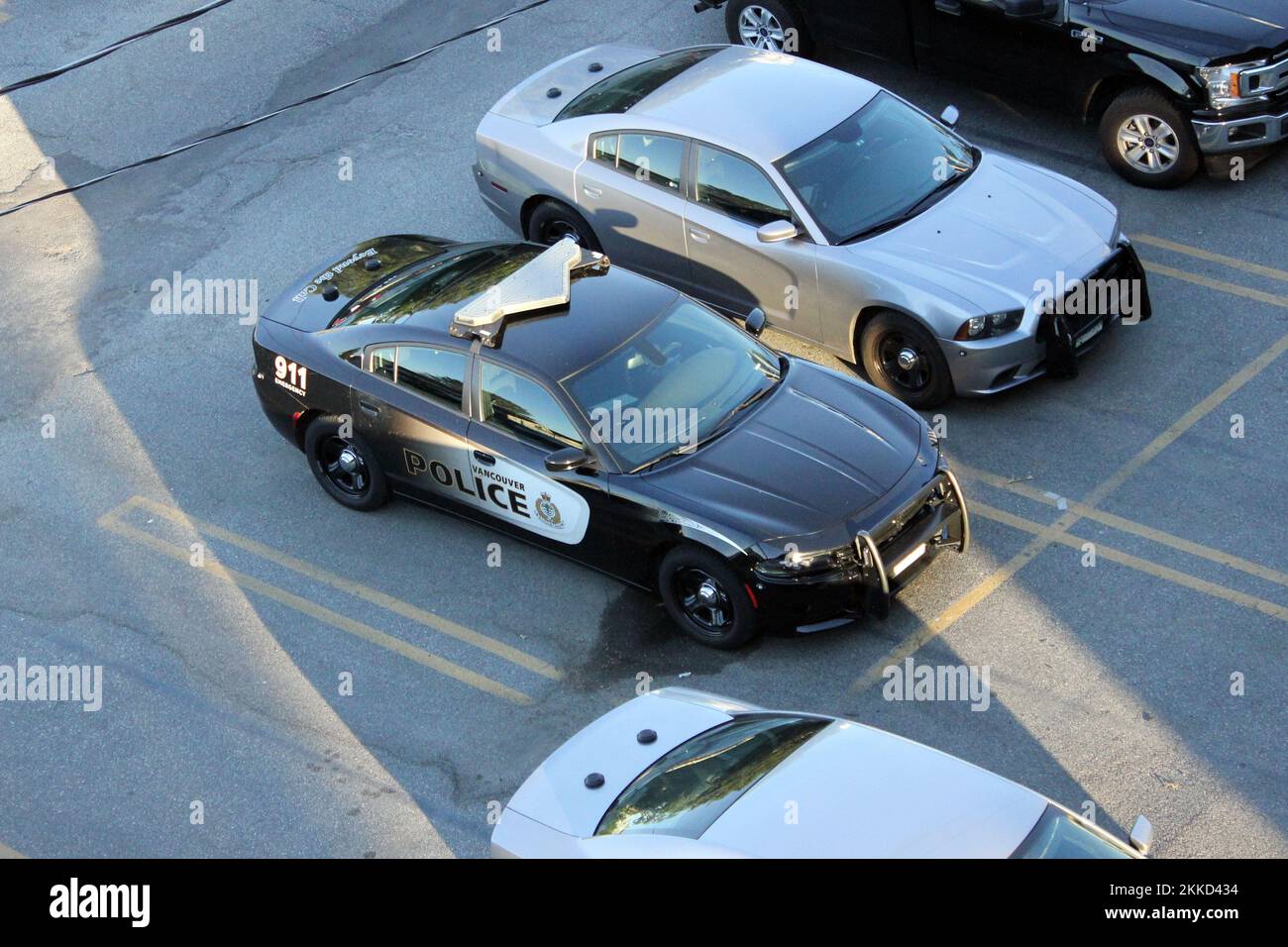 The police cars at a parking lot Stock Photo - Alamy