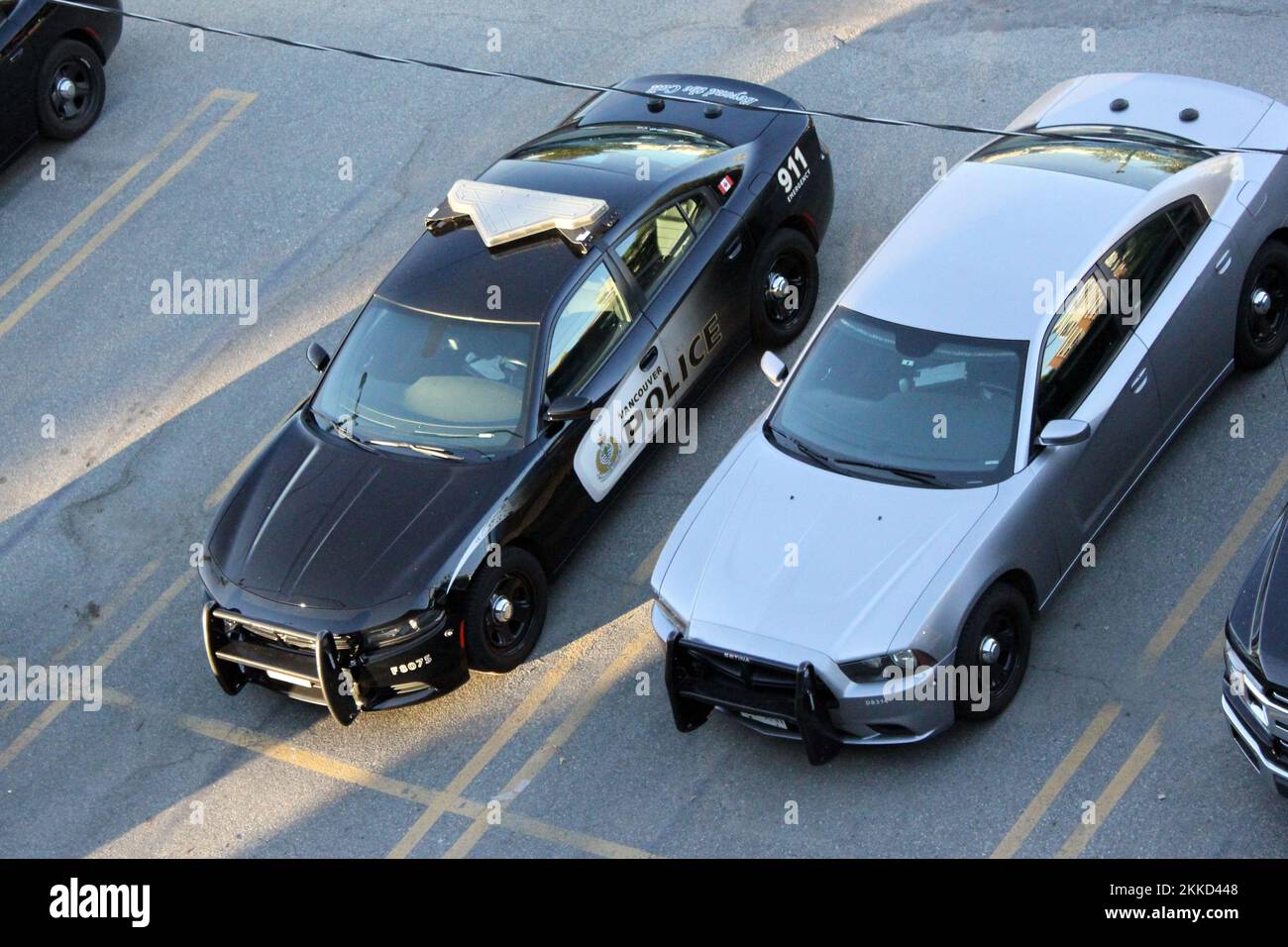 The police cars at a parking lot Stock Photo - Alamy