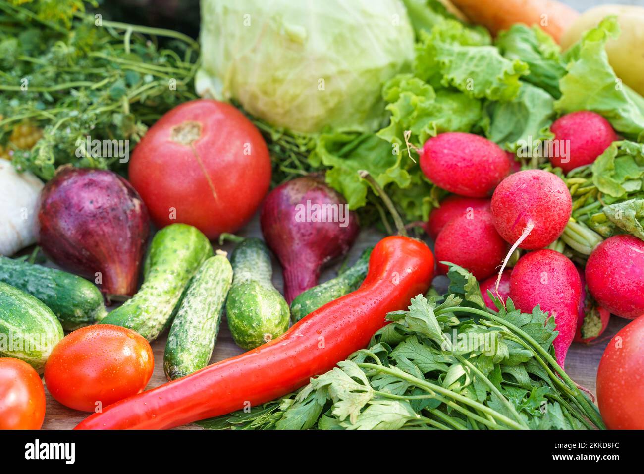 Background with Fresh vegetables in a summer garden, in country house ...