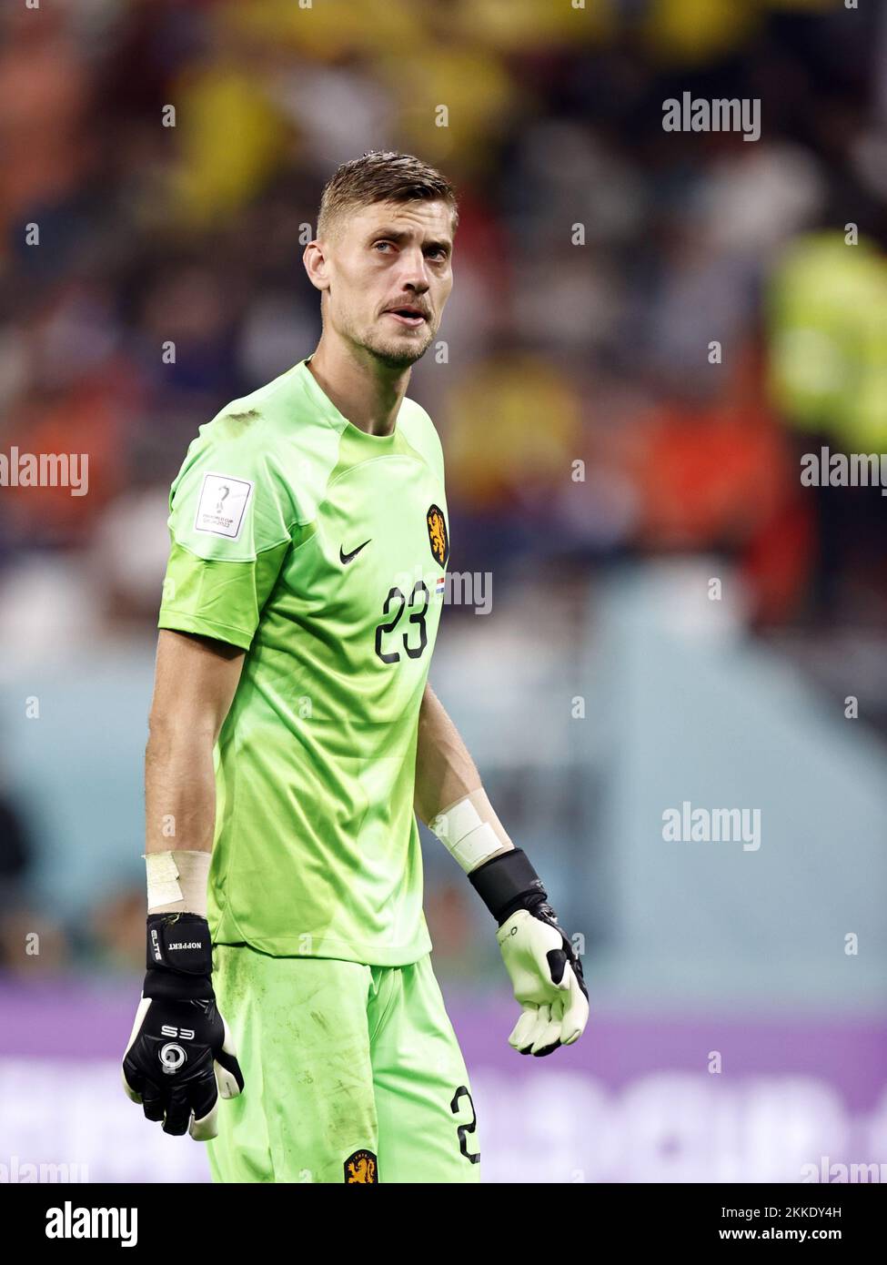 AL-RAYYAN - Holland goalkeeper Andries Noppert during the FIFA World ...