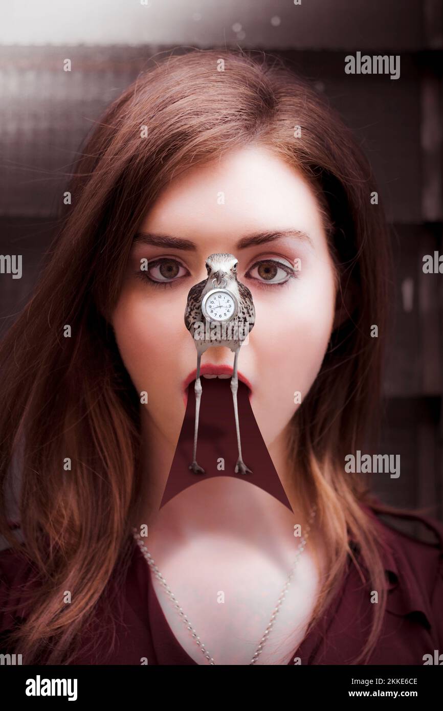 Cuckoo bird face hi-res stock photography and images - Alamy