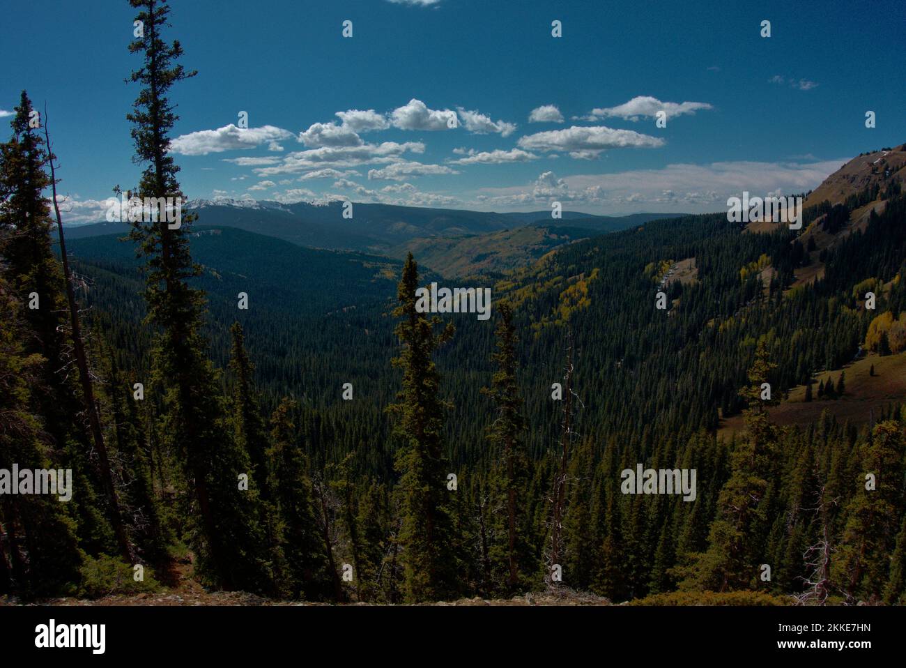 Kilpacker basin hi-res stock photography and images - Alamy