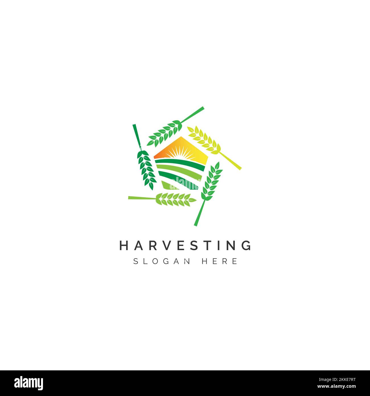 Wheat Grass Farming Logo Vector Symbol Icon Pentagon Design Graphic ...