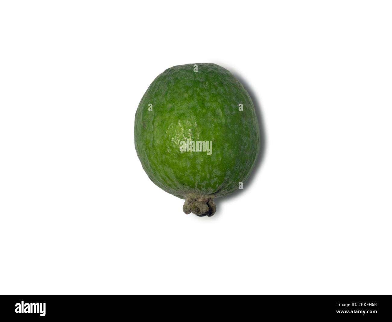 Ripe feijoa on a white background. Green fruit isolate. This fruit ...
