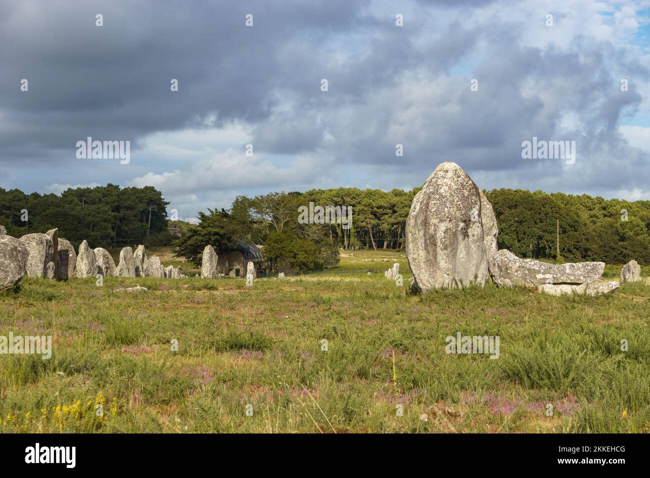 Miles long megalithic stones alignment on green meadow in Carnac ...
