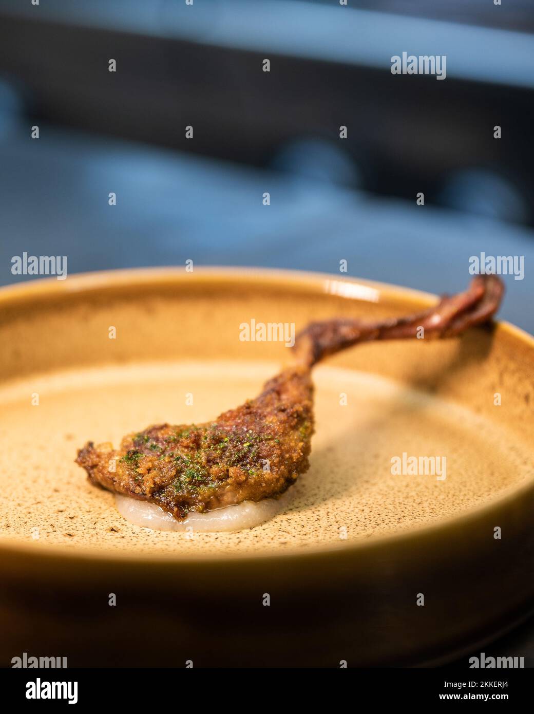 A Grilled pigeon thigh on a plate Stock Photo - Alamy