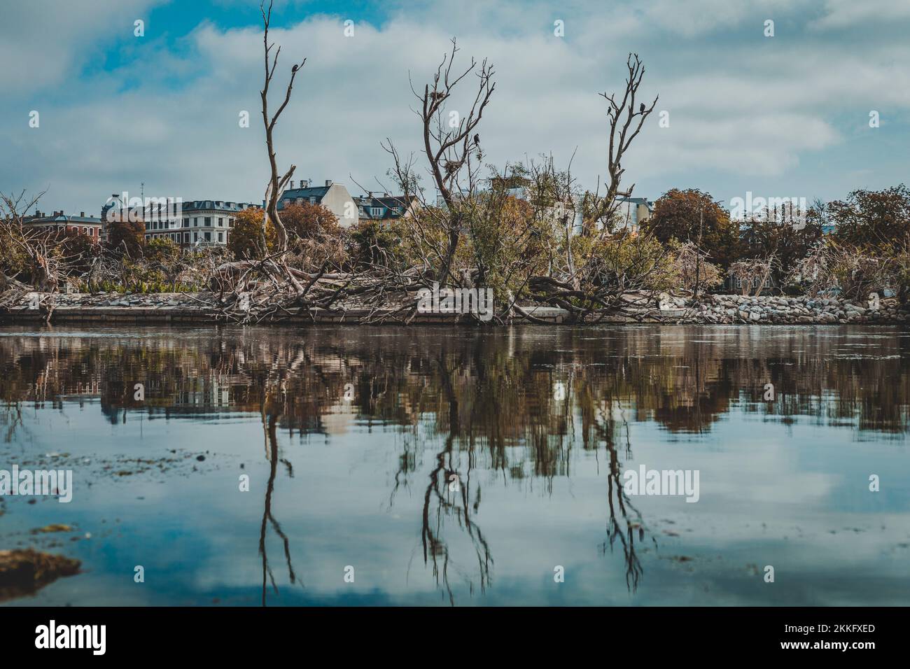 lake in the city of Copenhagen, water feflections Stock Photo - Alamy