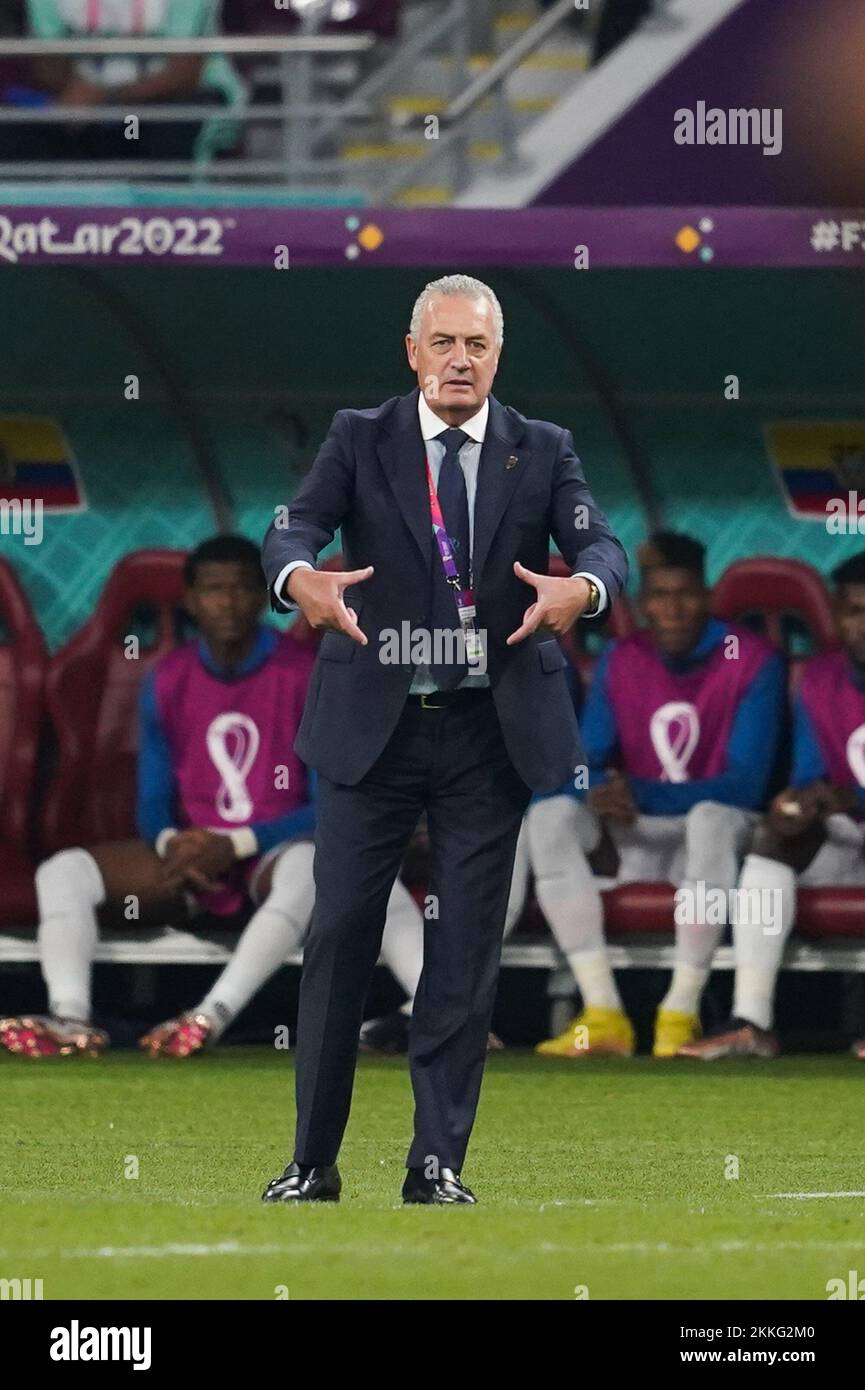 Doha, Qatar. 25th Nov, 2022. DOHA, QATAR - NOVEMBER 25: Head Coach of ...