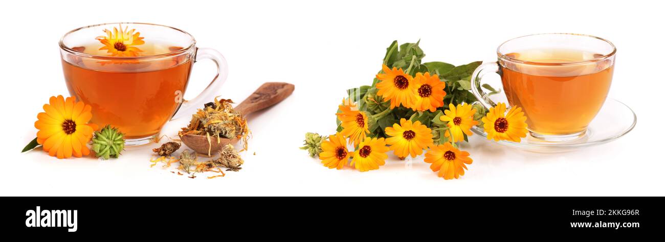 Calendula tea with fresh and dried flowers isolated on white background ...