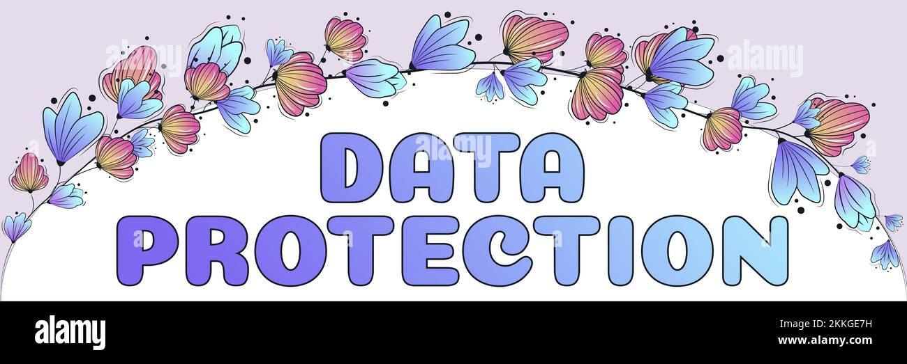 Conceptual Caption Data Protection Concept Meaning Legal Control Over Access And Use Of Data