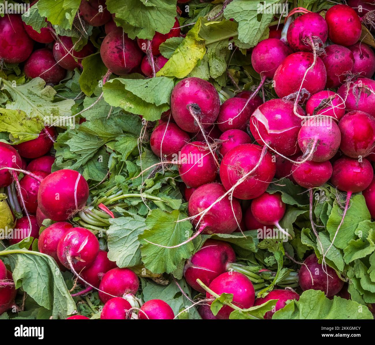 Bunches vegetables hi-res stock photography and images - Alamy